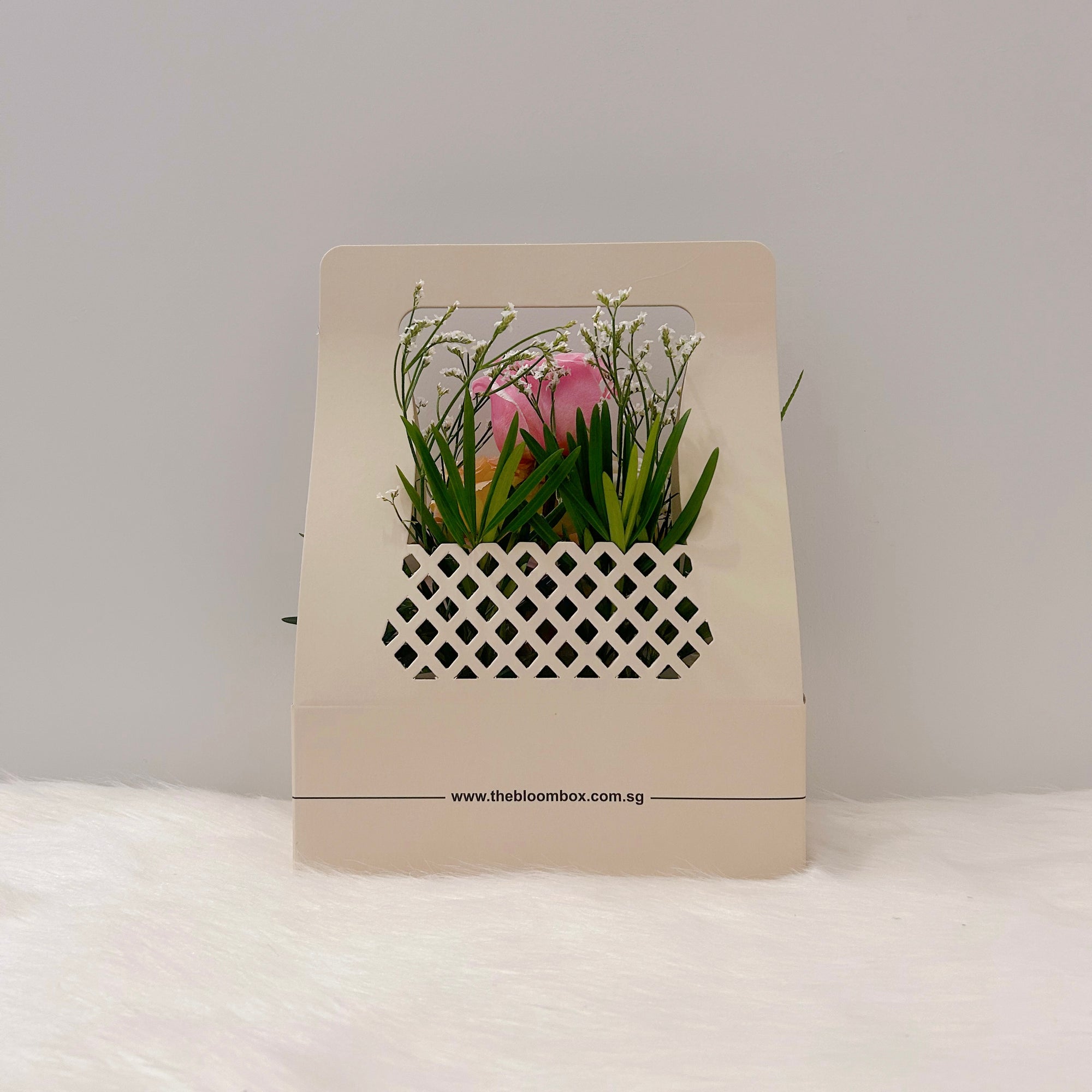 The Bloom Box of the Day