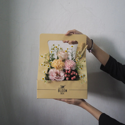 The Bloom Box of the Day