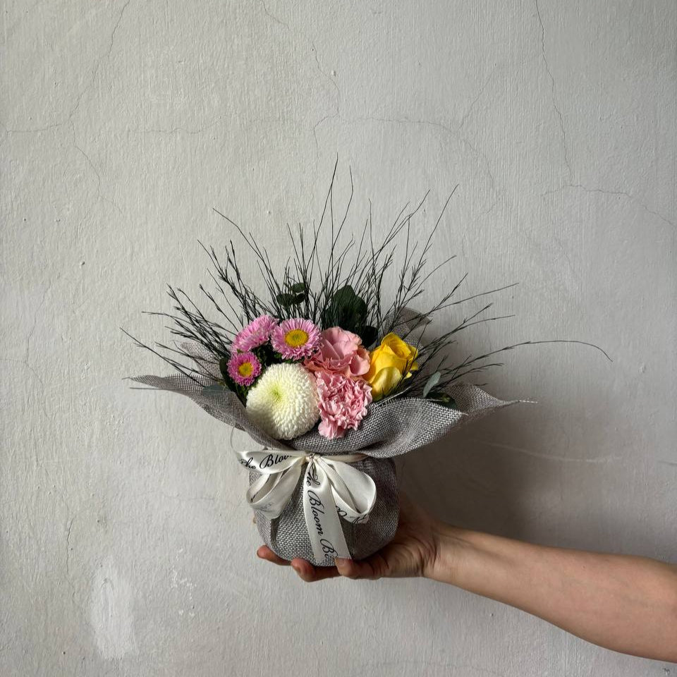 The Bloom of the Day – The Bloom Box