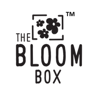 Online Flower Delivery Singapore | Same Day & Fresh – The Bloom Box