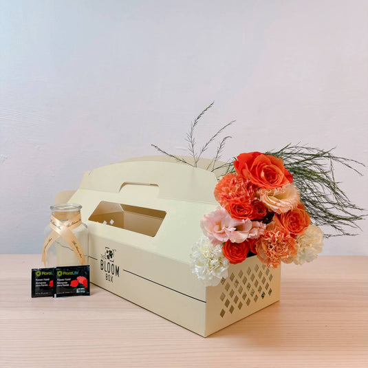 The Bloom Box of the Day