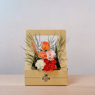 The Bloom Box of the Day